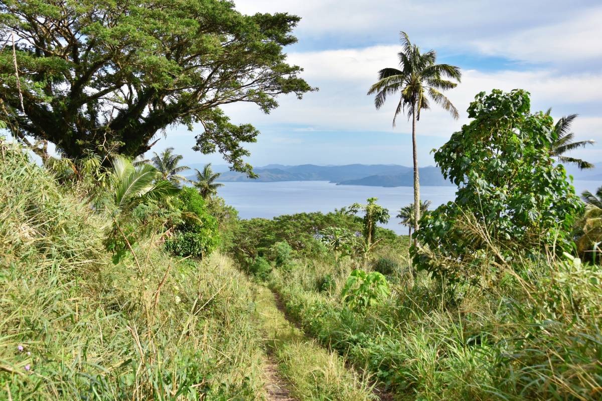 25 Best Things to Do on Taveuni - Fiji Pocket Guide