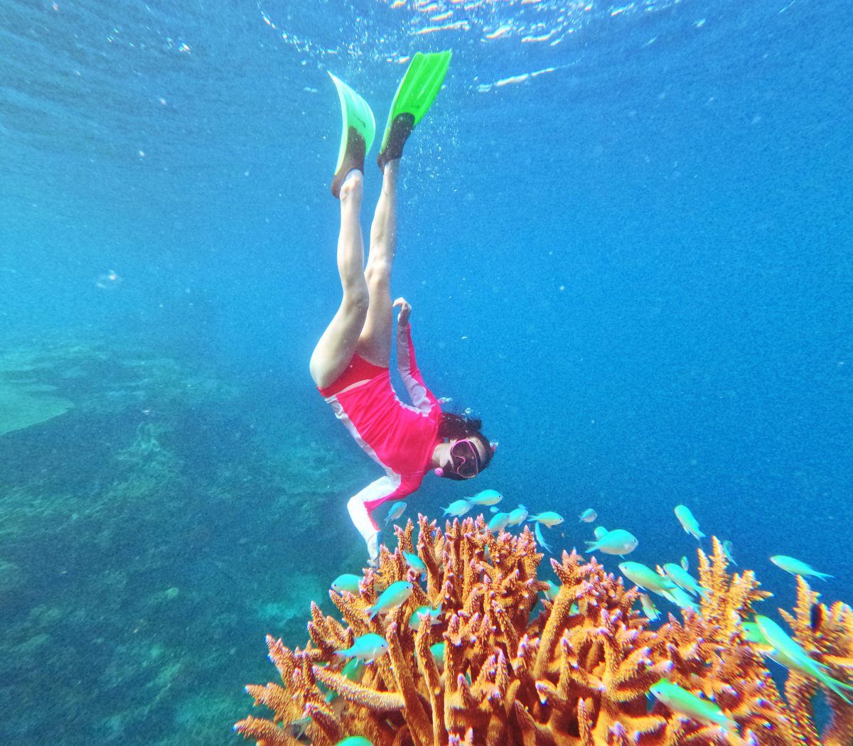 20 Best Things to Do on Kadavu - Fiji Pocket Guide
