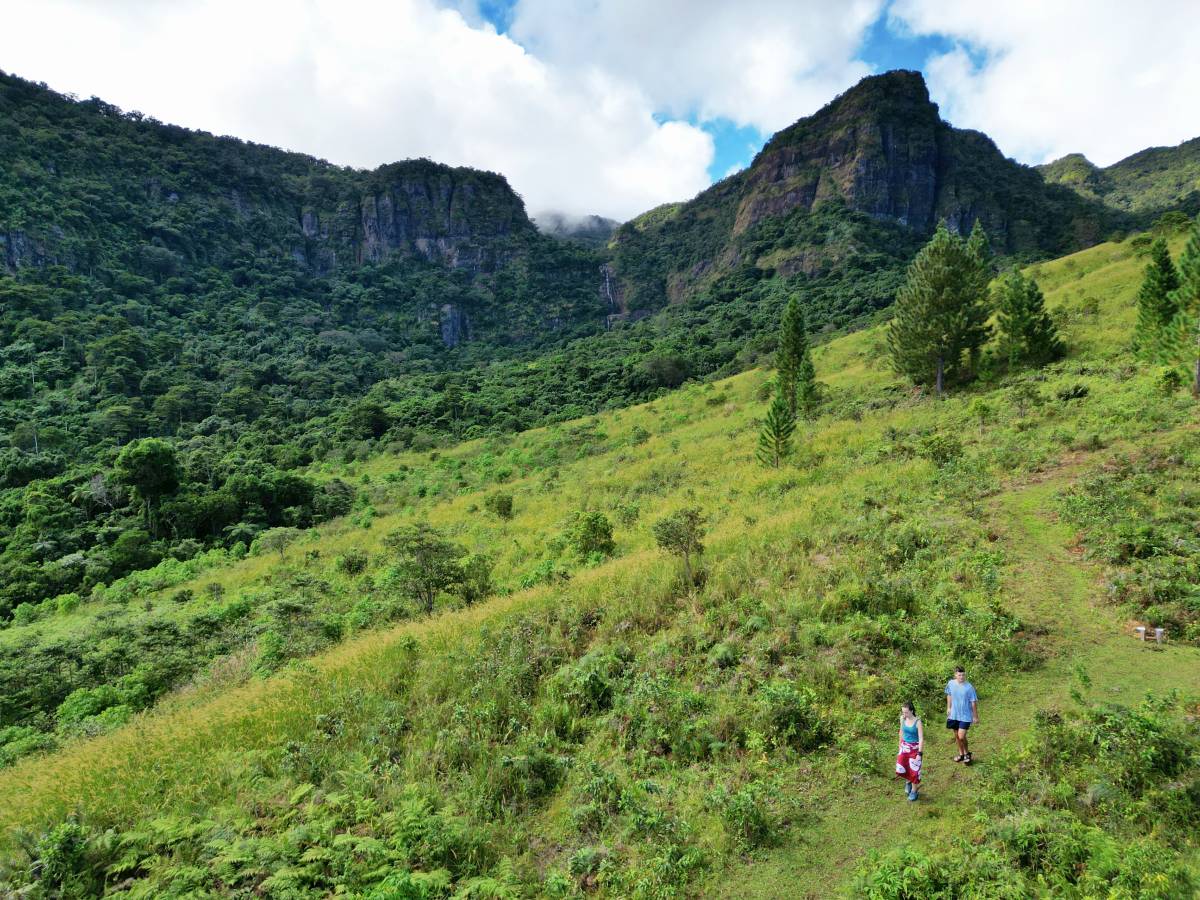 6 Best Walks & Hikes in Nadi: The Top Nadi Walking Trails - Fiji Pocket ...
