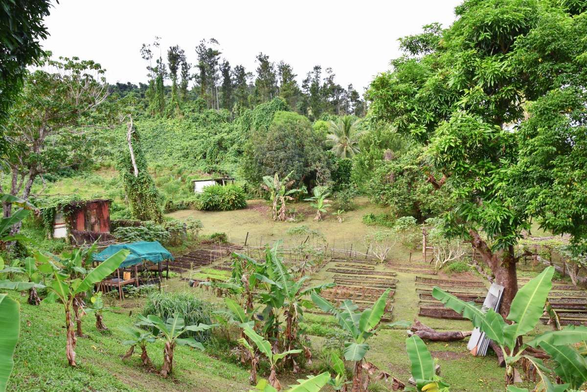 20 Best Things to Do on Kadavu - Fiji Pocket Guide