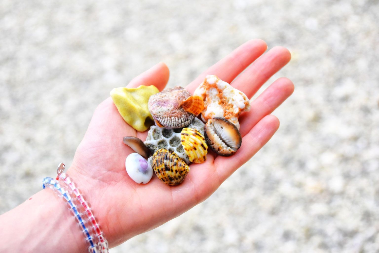 What to Declare When Arriving in Fiji - Fiji Pocket Guide