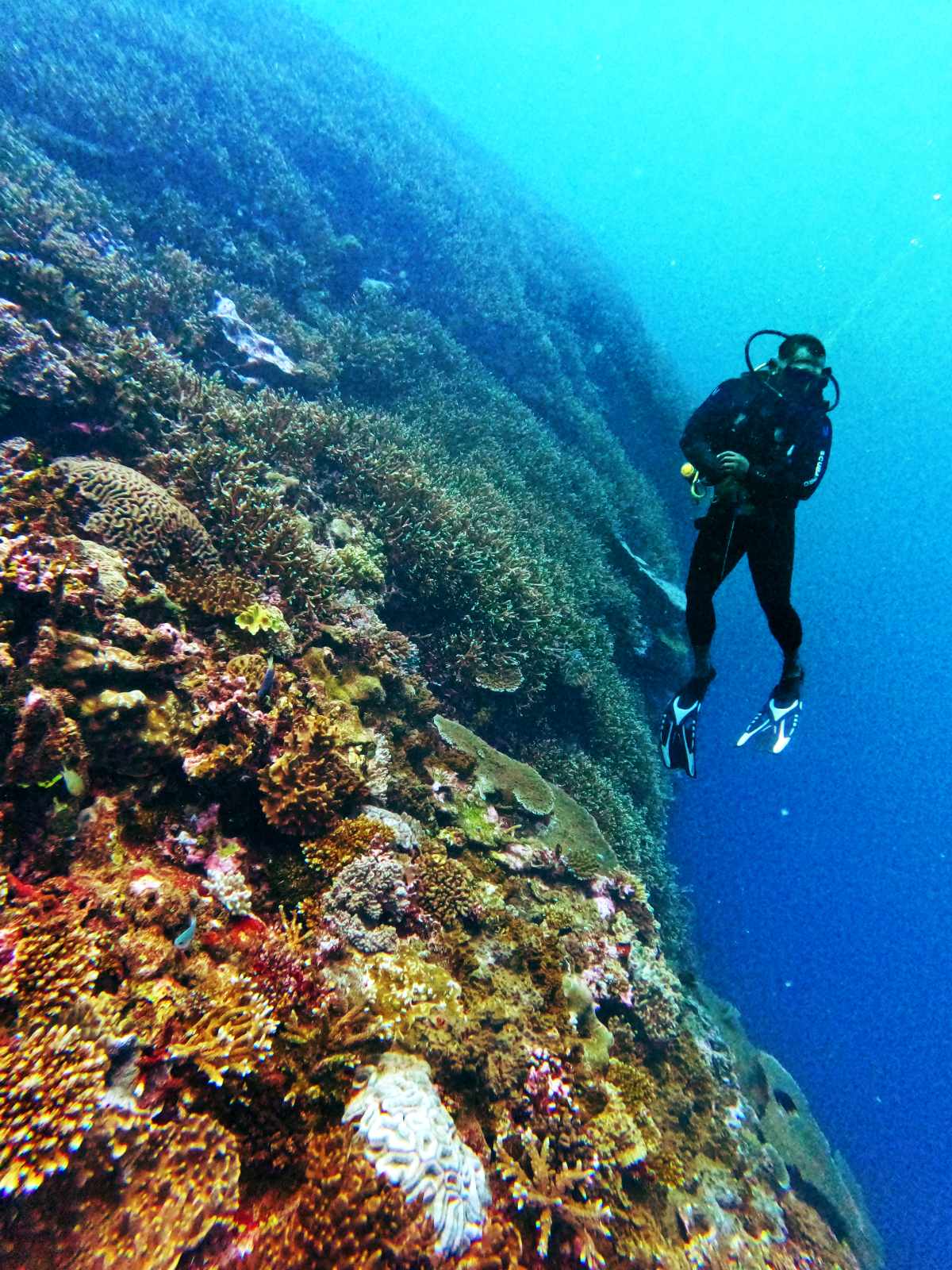 20 Best Things to Do on Kadavu - Fiji Pocket Guide