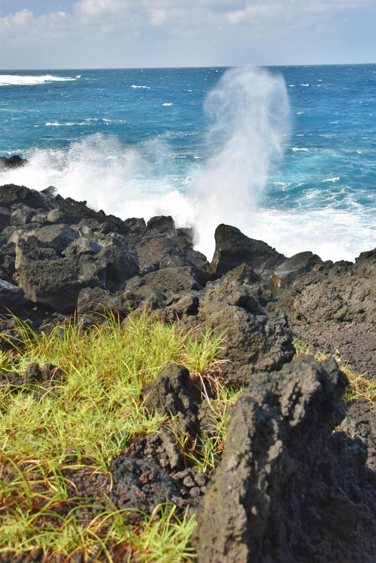 25 Best Things to Do on Taveuni - Fiji Pocket Guide