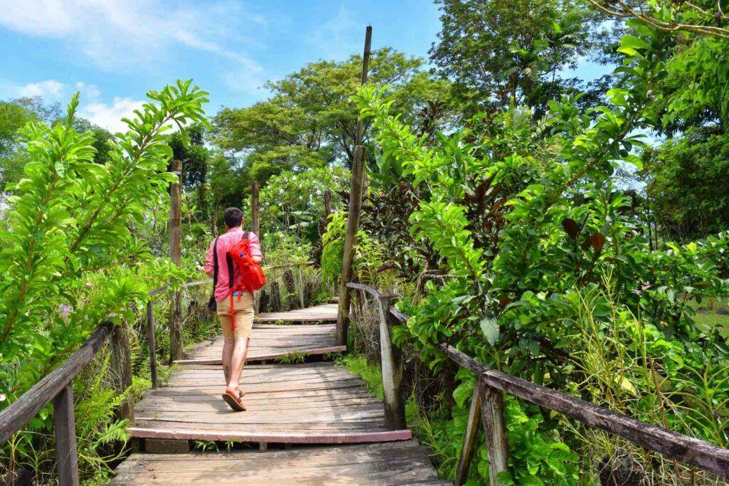 The Complete Travel Guide to Nadi 🛕 [2025]