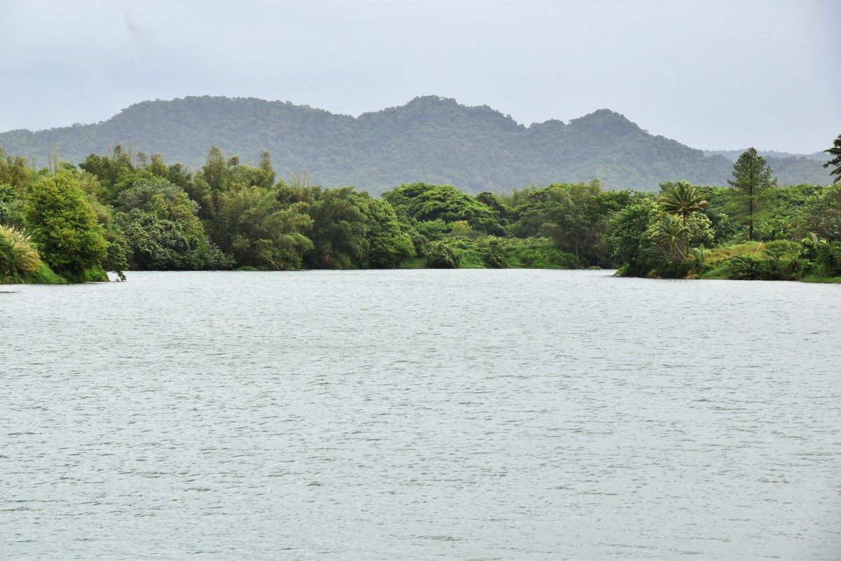 10 Things to Do on the Pacific Harbour with Kids - Fiji Pocket Guide