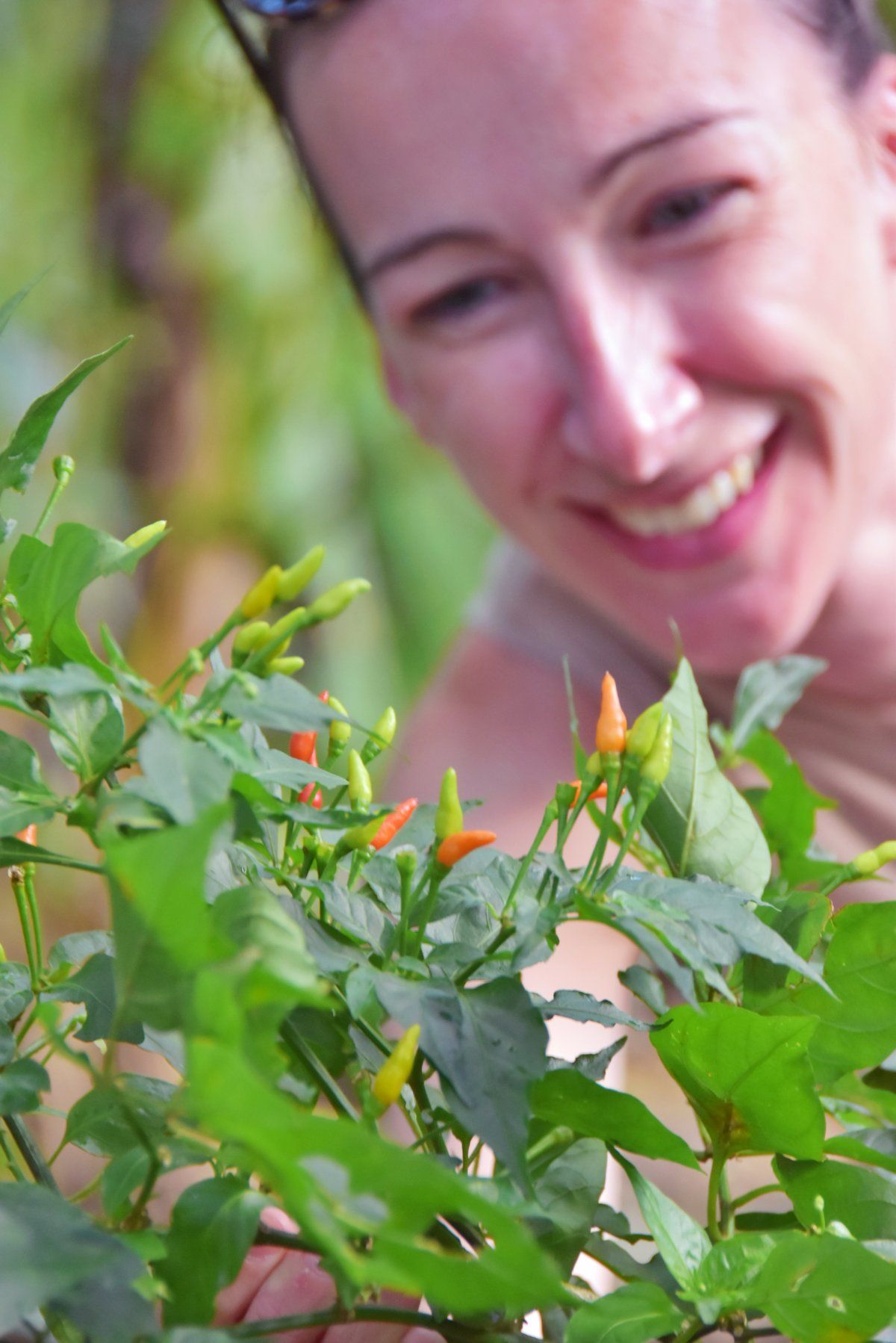 11 Best Foodie Experiences on the Coral Coast - Fiji Pocket Guide