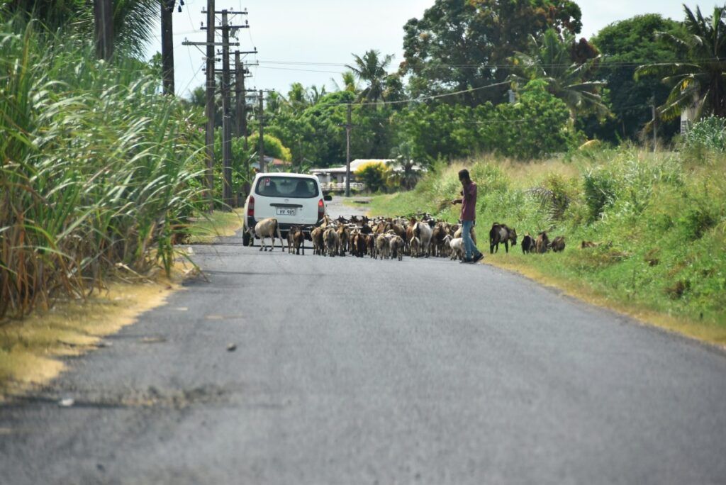 Fiji Safety Tips: Is it Safe to Travel to Fiji? (Everything We Know)