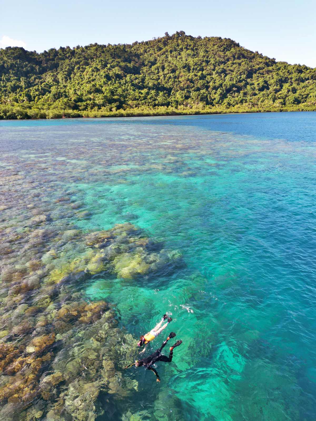 The Complete Travel Guide to Taveuni 🦜 2026