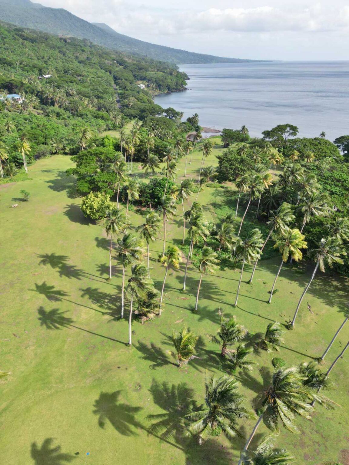 The Complete Travel Guide to Taveuni 🦜 2026