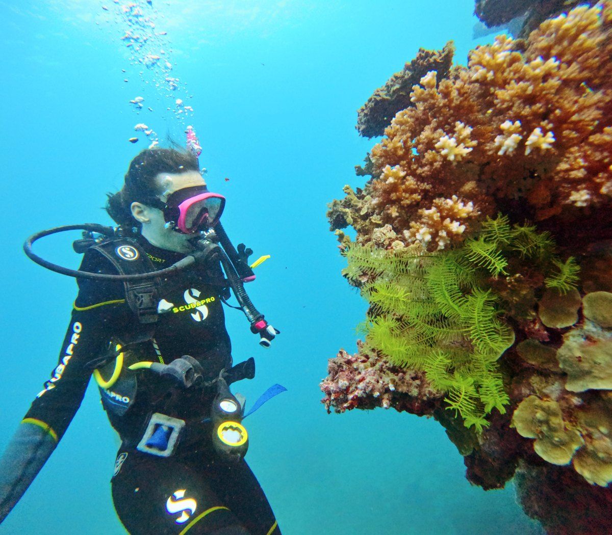 57 BEST Places to Scuba Dive in Fiji - Fiji Pocket Guide