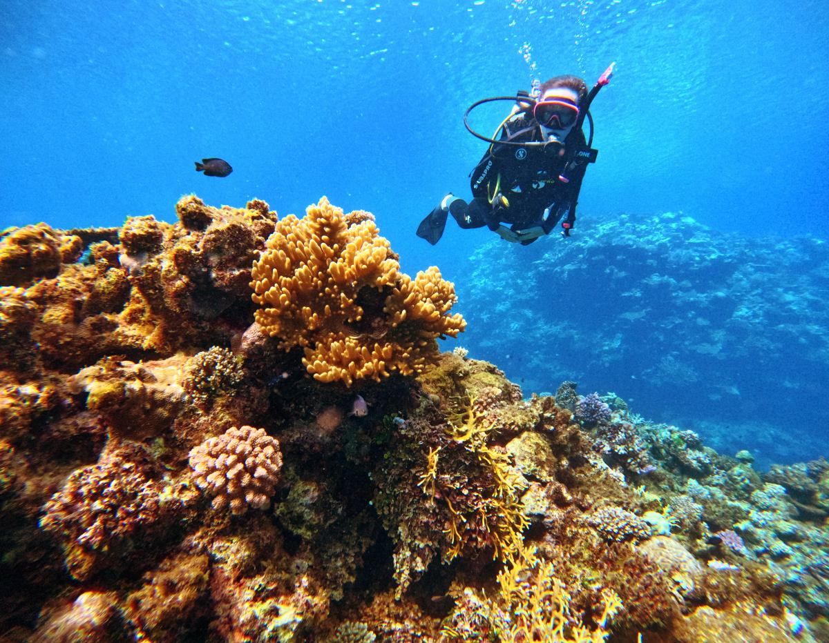 57 BEST Places to Scuba Dive in Fiji - Fiji Pocket Guide