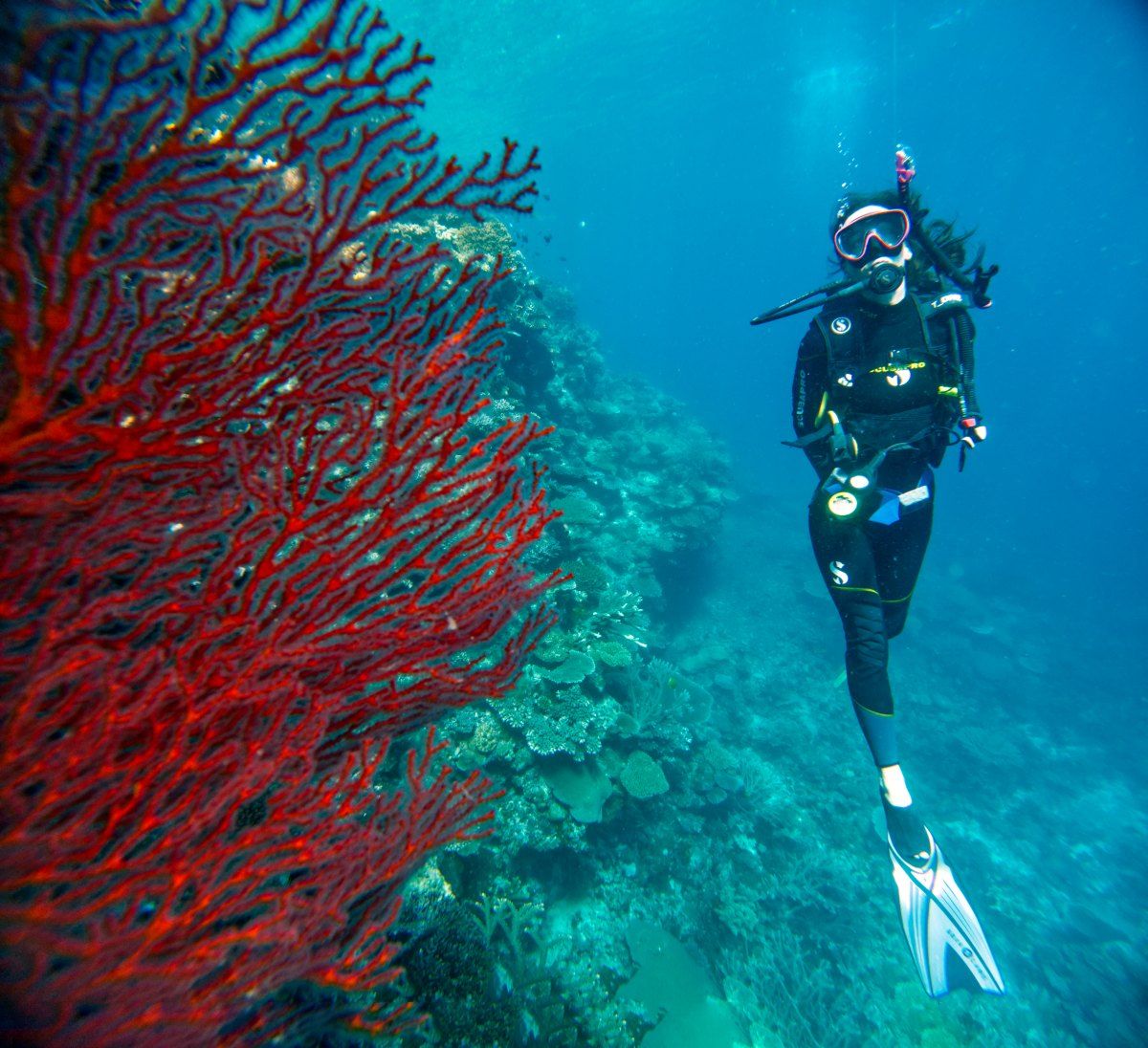 57 BEST Places to Scuba Dive in Fiji - Fiji Pocket Guide
