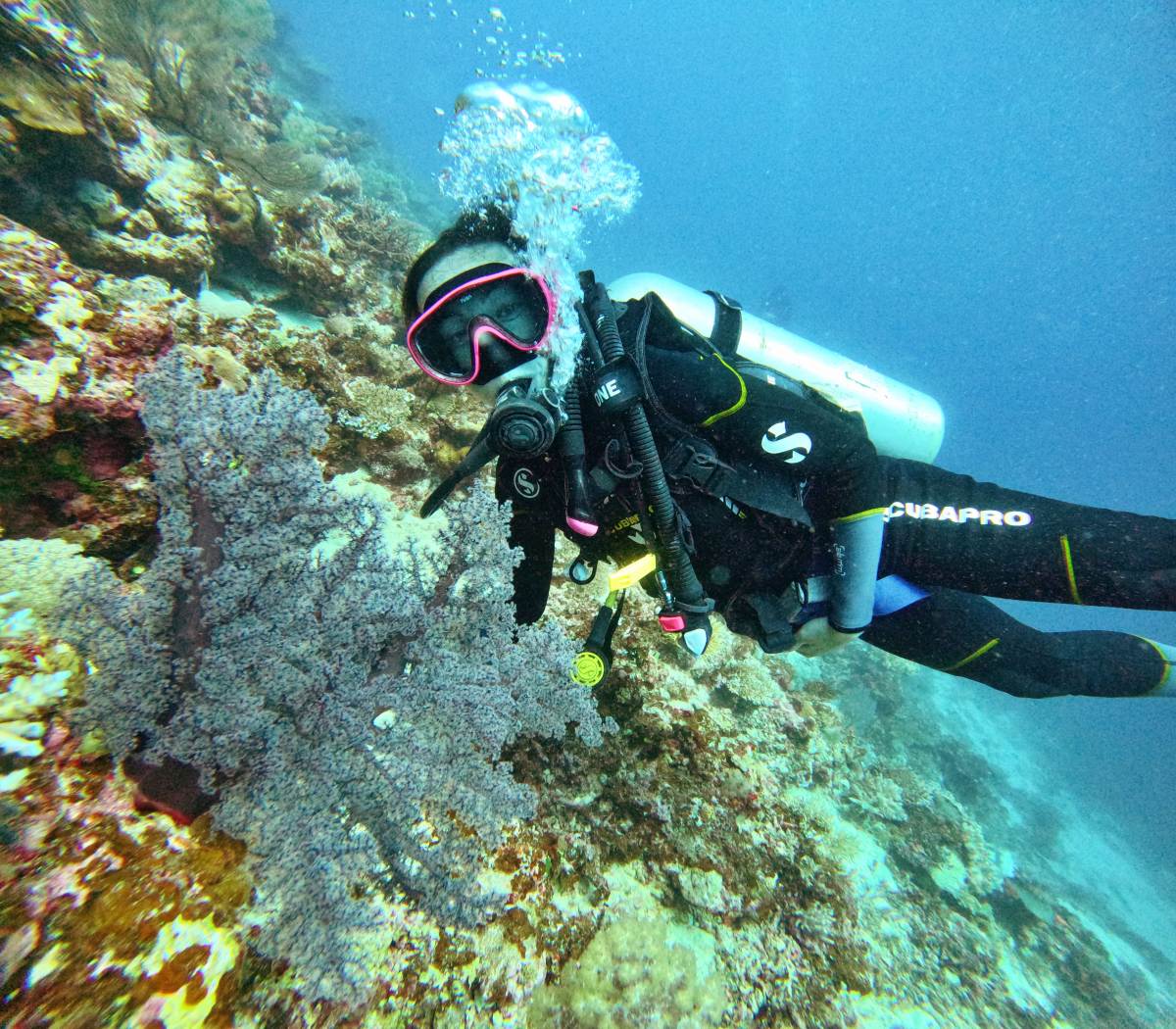 57 BEST Places to Scuba Dive in Fiji - Fiji Pocket Guide