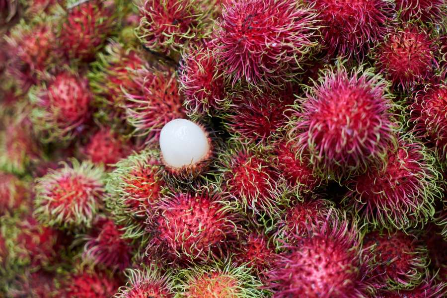 10 Exotic Fruits in Fiji You Have to Try - Fiji Pocket Guide