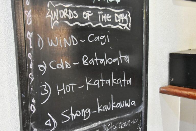 What are the Languages in Fiji? A Guide to Fijian, Fiji-Hindi & More ...