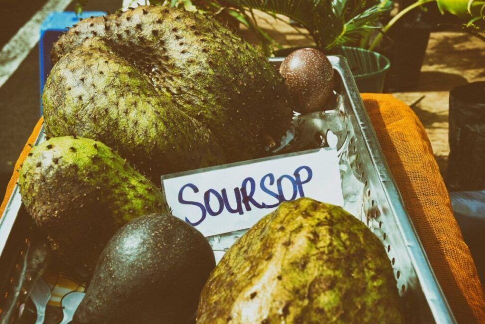10 Exotic Fruits in Fiji You Have to Try 🍍 - Fiji Pocket Guide