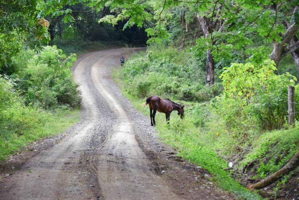 7 Best Horse Riding Tours in Fiji 🐎 2025