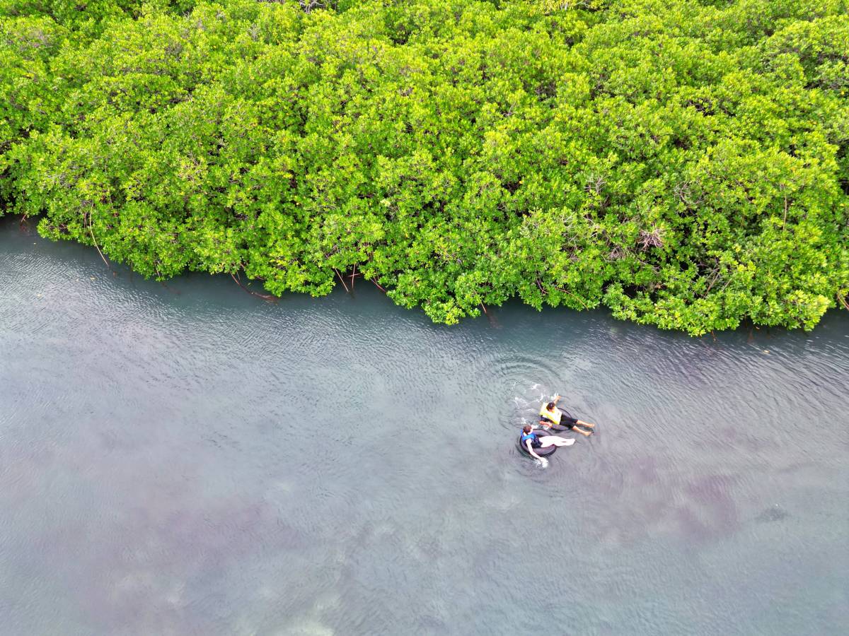 15 BEST Adventure Tours in Fiji 🤙🏼 [2026] - Fiji Pocket Guide