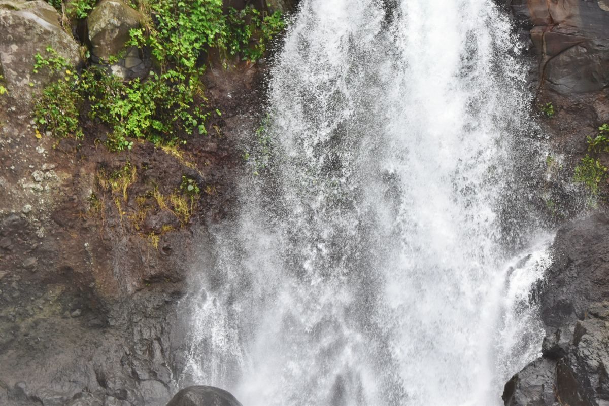 20 BEST Waterfalls in Fiji 🏞️ [2026] - Fiji Pocket Guide