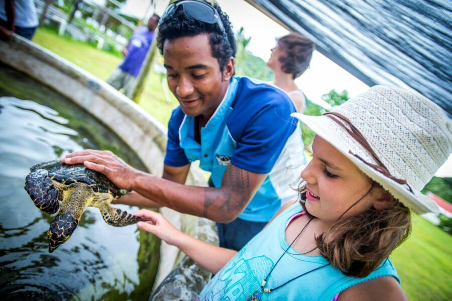 10 Best Places to See & Swim with Turtles in Fiji [2026] - Fiji Pocket ...