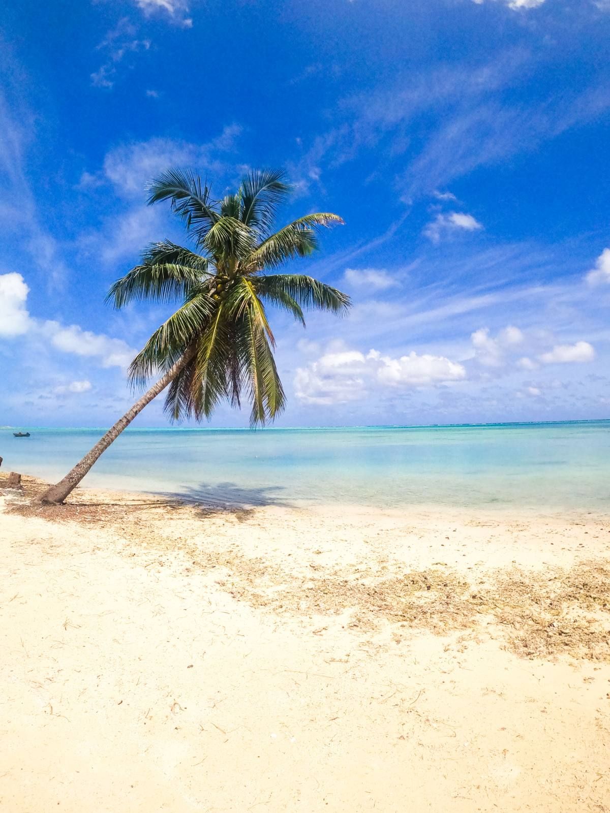 6 Best Things to Do in Labasa