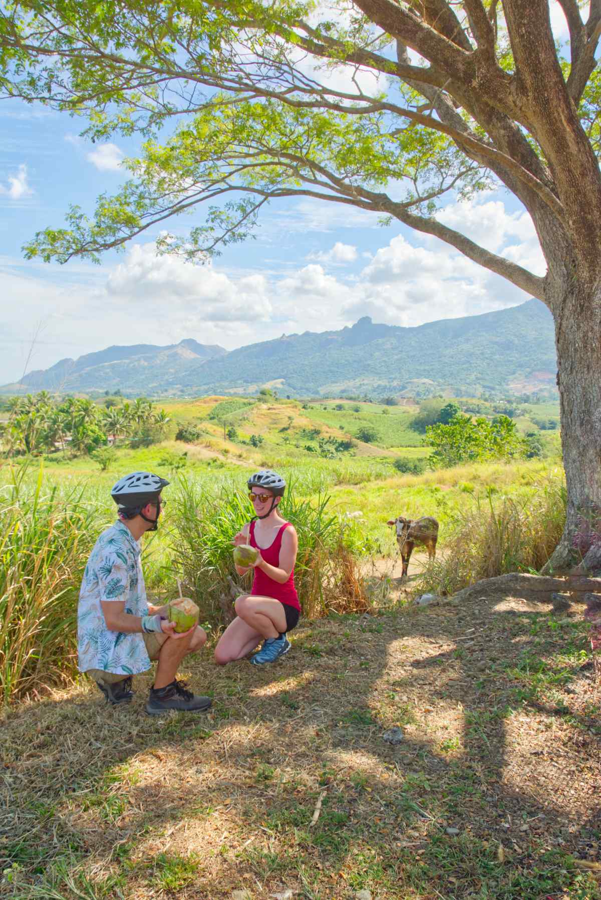 The Complete Travel Guide to Nadi 🛕 [2025]