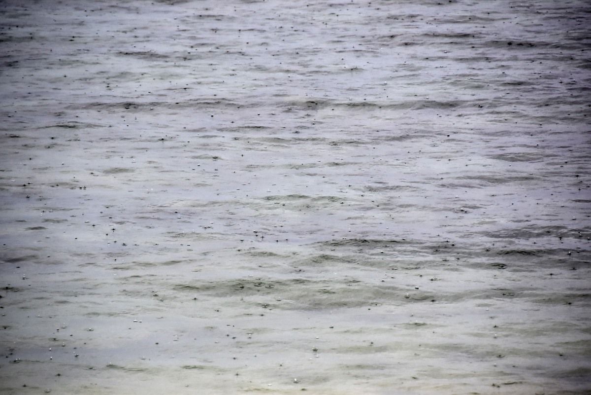 Fiji Weather in December: Temperature, Rain, Packing List & More - Fiji ...