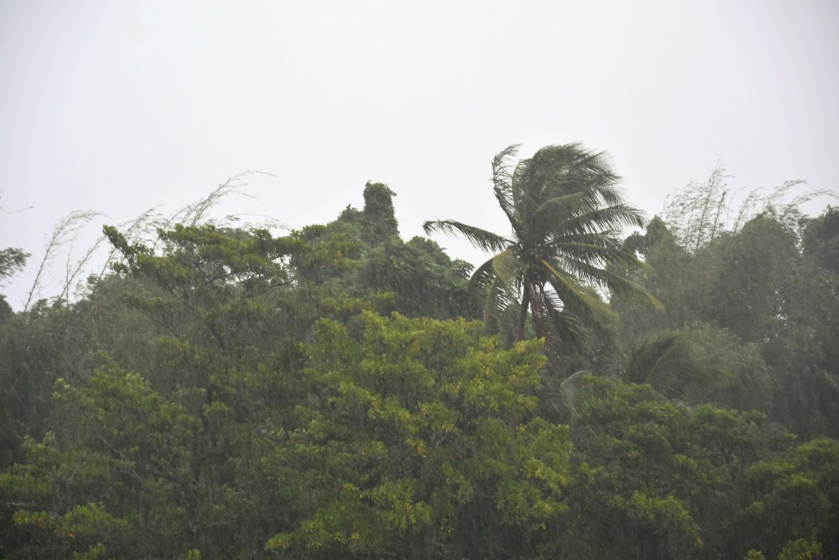Fiji Weather in April: Temperature, Rain, Packing List & More - Fiji ...