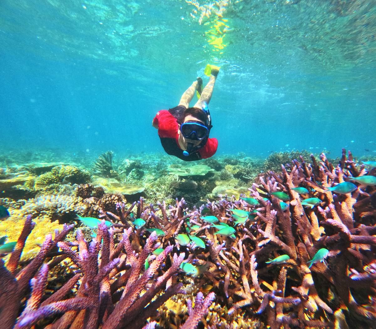 10 Best Snorkelling Resorts in Fiji 🤿 [2025] - Fiji Pocket Guide