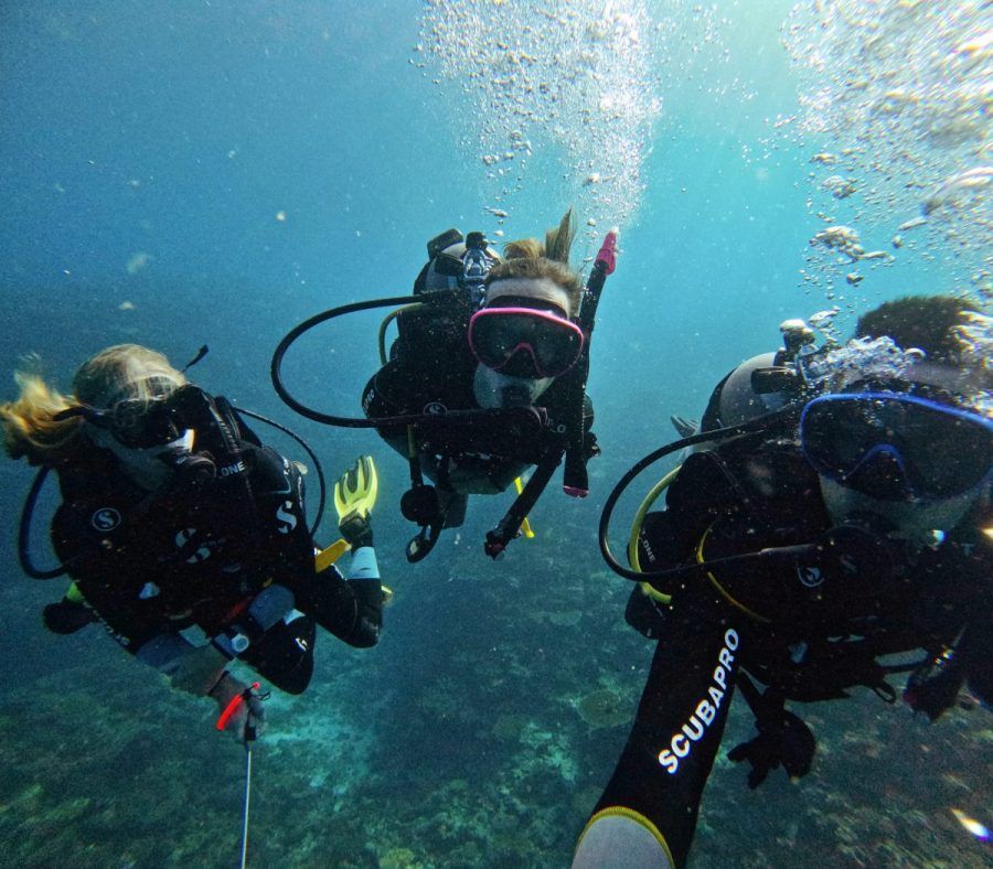 20 BEST Dive Resorts in Fiji 🤿 [2026] - Fiji Pocket Guide