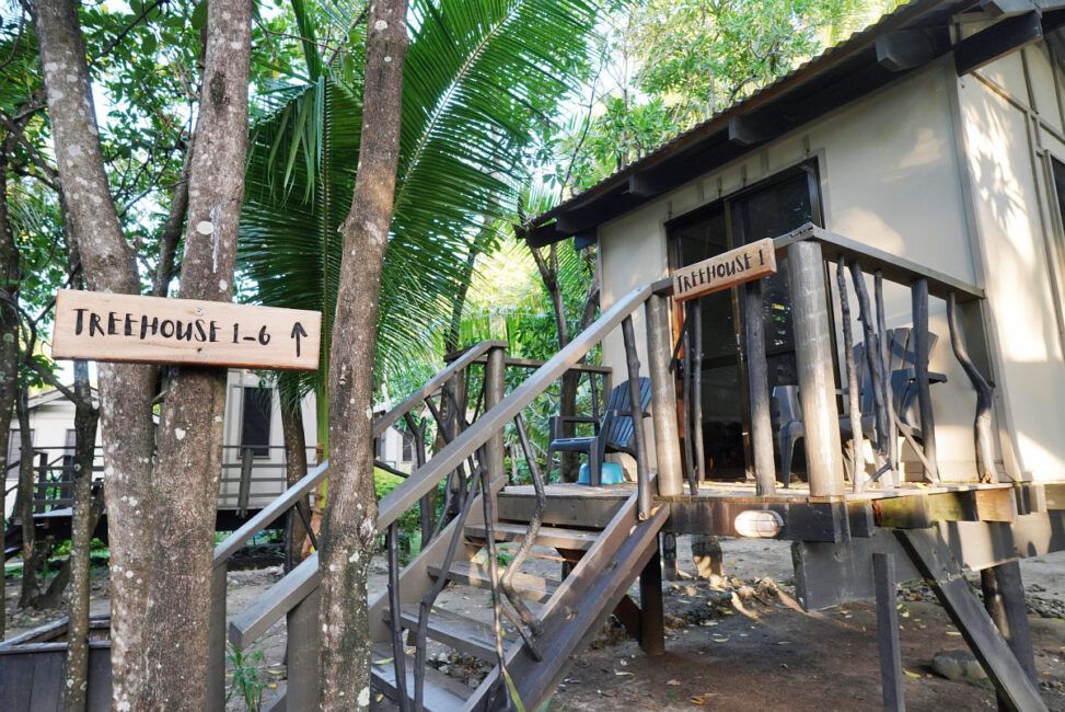 19 Best Backpacker Hostels in Fiji 🐚 [2026]