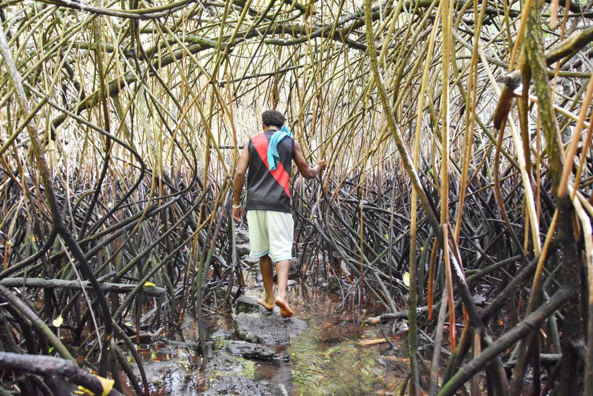 10 Things You Need to Know Before Visiting Savusavu - Fiji Pocket Guide