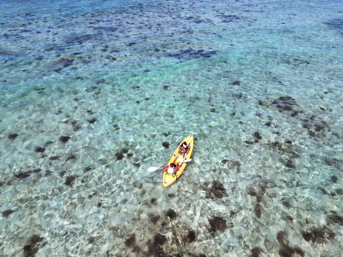 Kayaking in Fiji: 8 Best Kayak Tours in Fiji 🚣 2026